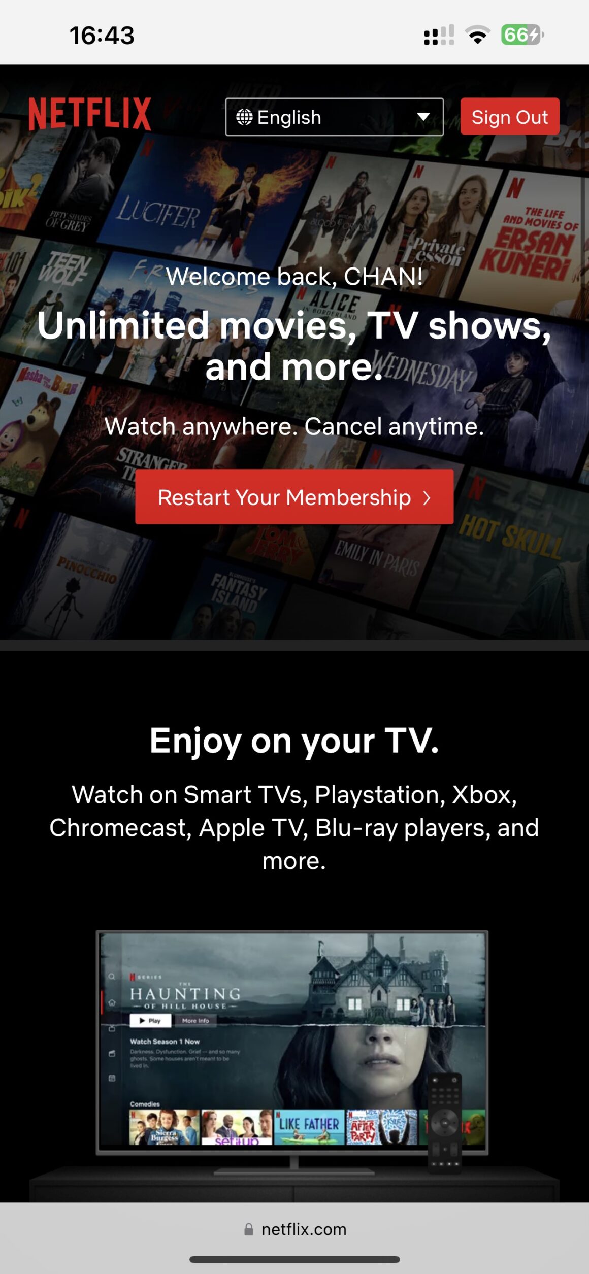 免 SMS 核實 土耳其 Netflix 申請攻略 2023 - 流動日報